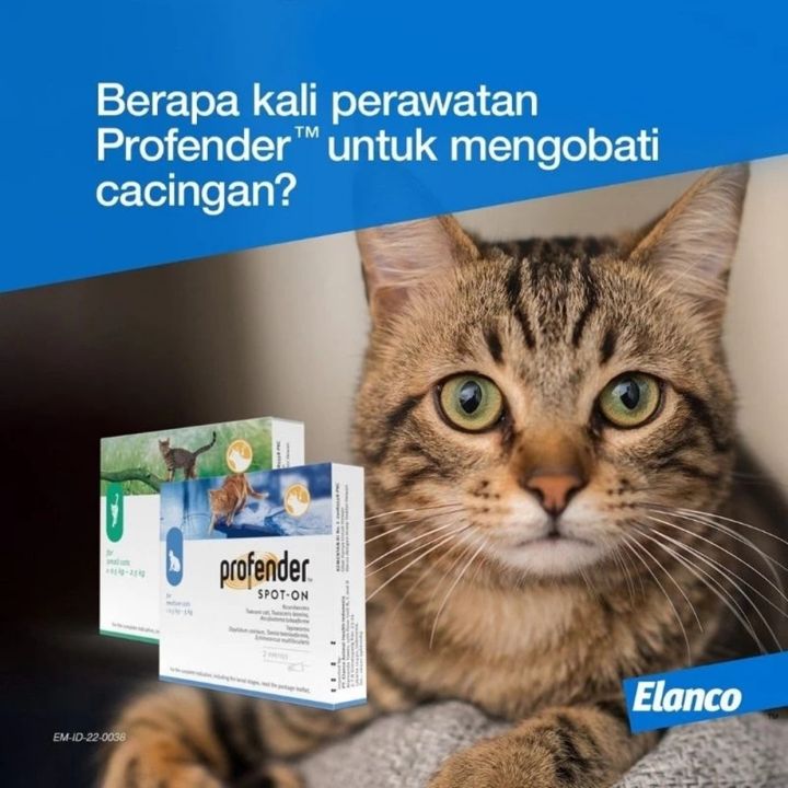 Profender obat cacing kucing 1 tube spot on cat small berat 0 - 2,5 kg ...