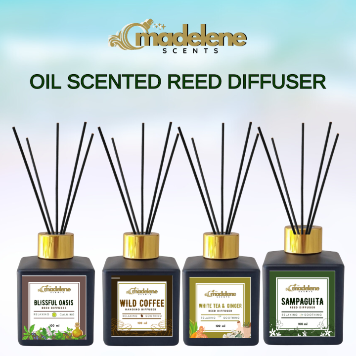 Fresh Bamboo Diffuser | Lazada PH