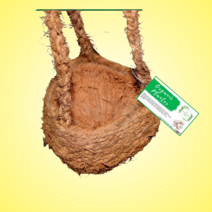 Coconut Organic Planter Hanging for Plants Eco-friendly and safe to use ...