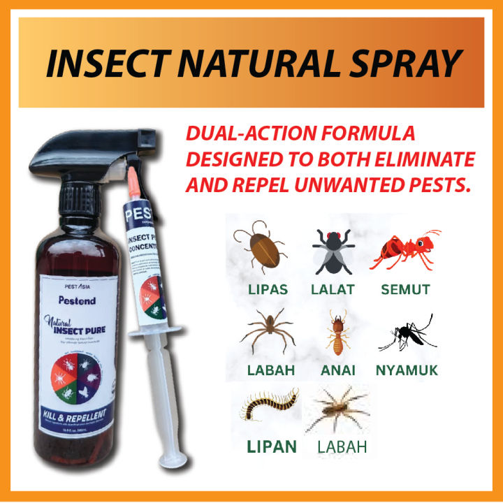 Natural Insect Spray - Safe for Family & Pets / Repels And Kills ...