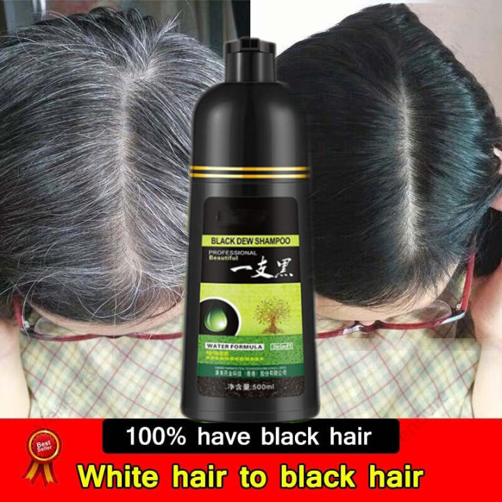 Japan Original Hair Coloring Hair Dye Turn Your White/Gray Hair Into ...