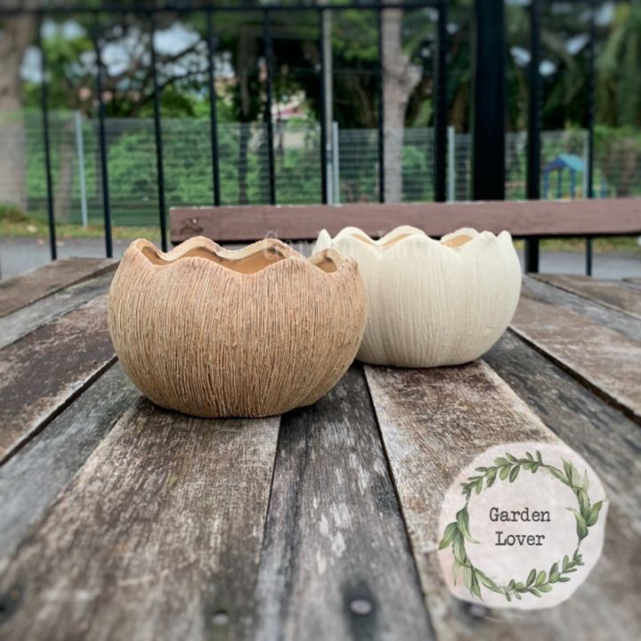 Succulent Pot Flower Pot Ceramic Pot 多肉盆 花盆 陶盆 Pasu Seramik Pasu ...