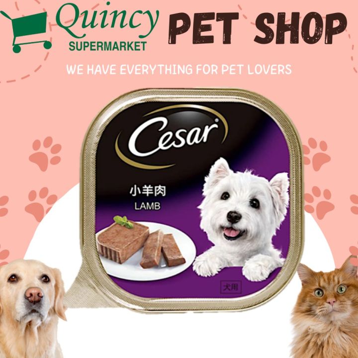 COD CESAR Dog Food Wet Lamb Flavor 100 g - Quincy Supermarket | Lazada PH