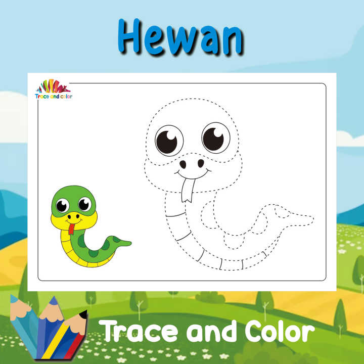KERTAS MEWARNAI /HEWAN / TRACING AND COLORING | Lazada Indonesia