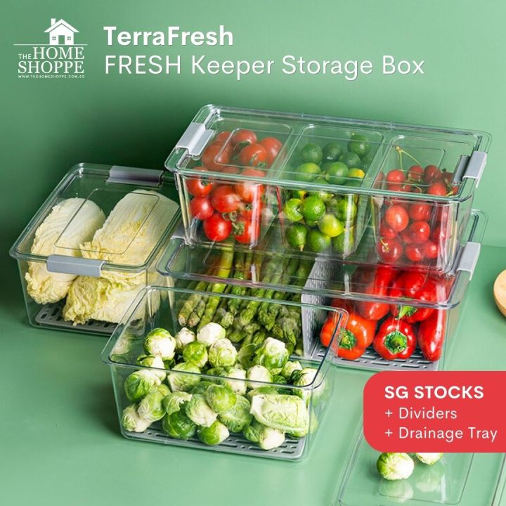 Fresh Keeper Food Storage Box With lid TerraFresh Fridge Organiser Box ...