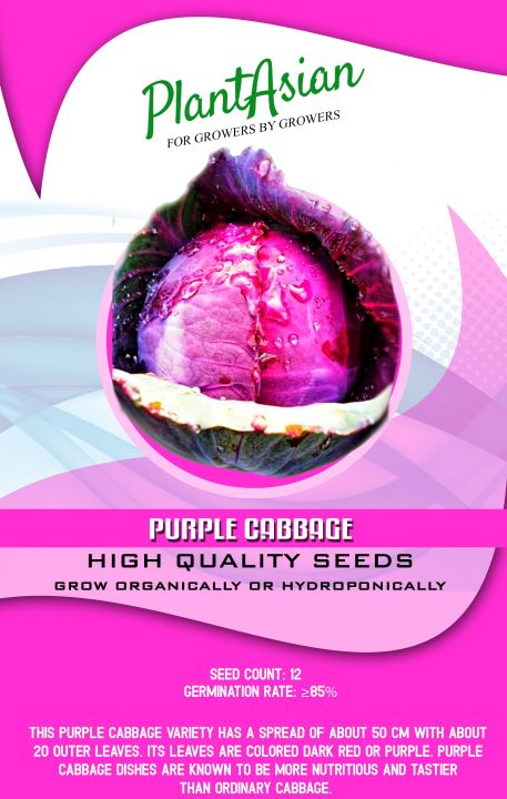 PURPLE CABBAGE SEEDS | Lazada PH