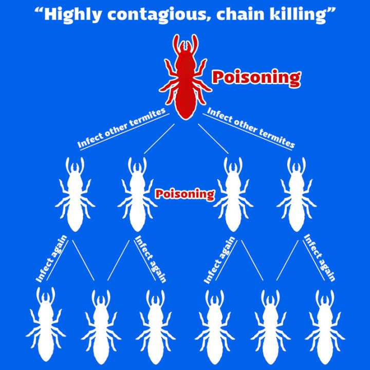 🐜99.99% Effective🐜termites killer spray termites killer spray japan ...