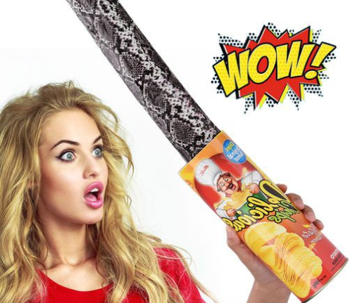 1 pc Potato Chip Snake Toy Prank | Lazada PH