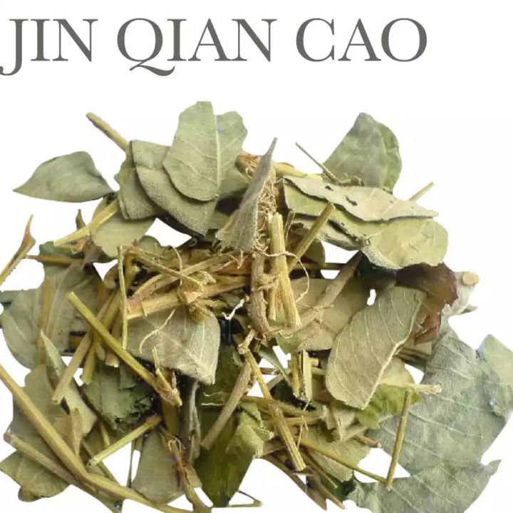 300 G GR GRAM JIN QIAN CAO GOLD COIN MONEY GRASS LYSIMACHIA HERB ...