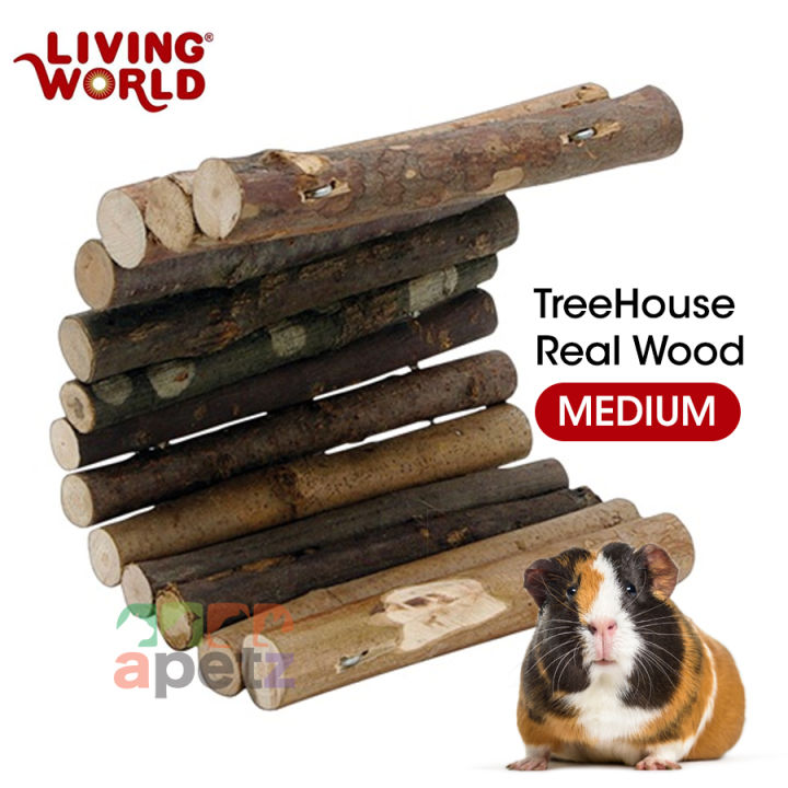 Living World Medium TreeHouse Real Wood Logs Tunnel Bridge for Hamster ...