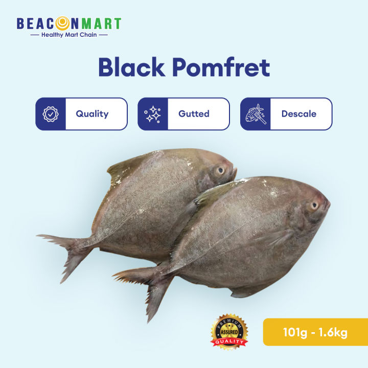 [Beacon Mart] Fresh Frozen Black Pomfret Whole Fish | Wild Caught Sabah ...