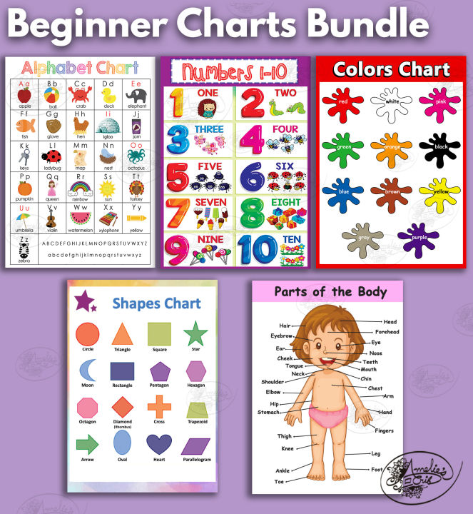 Bundle of 5 (Girl) Beginner Minimalist Laminated Educational Charts for ...