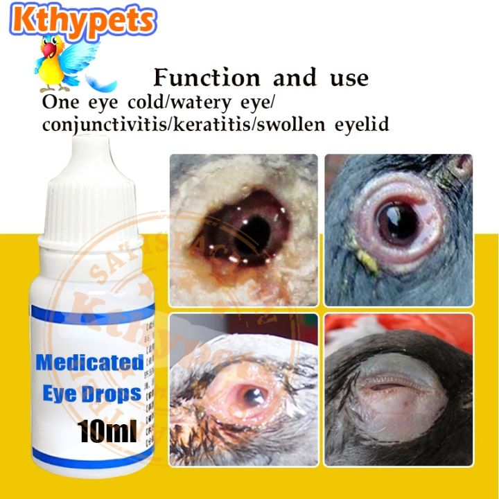 One Eye Cold Medicated Eye Drops for Birds and Pigeons 10ml | Lazada PH