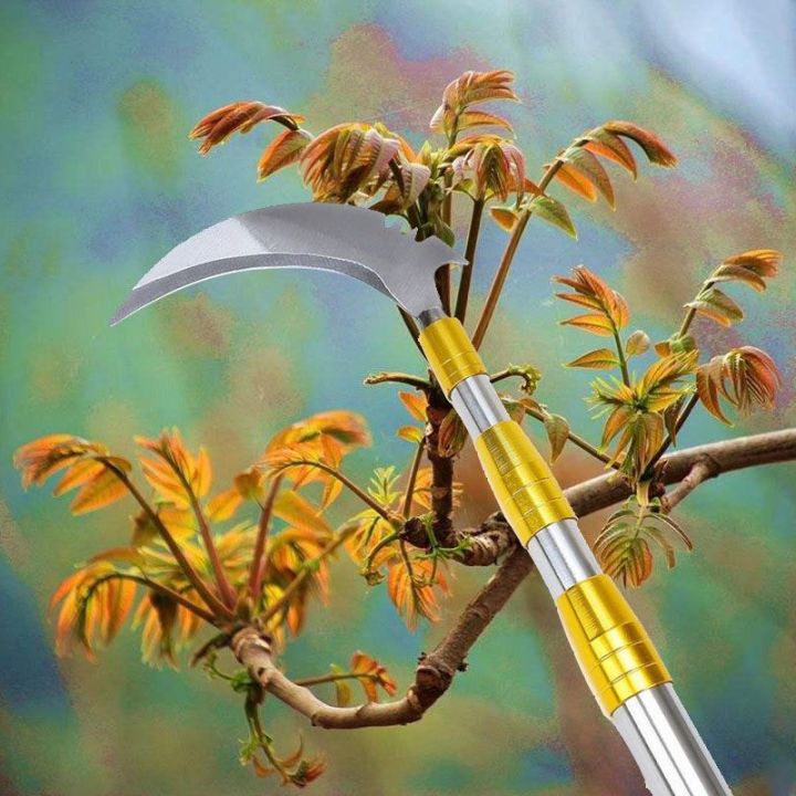 High altitude persimmon picking tool fruit picking artifact telescopic ...