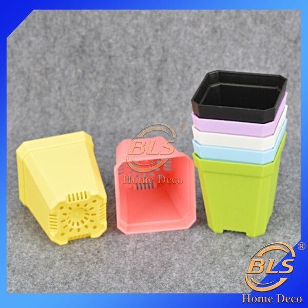BLS 7cm Thick Colourful Succulent Cactus Mini Square Plastic Pot Flower ...