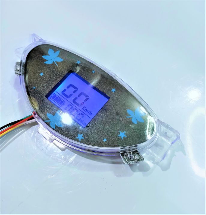 ebike digital indicator, commonly use for romai mini cruz, and some ...
