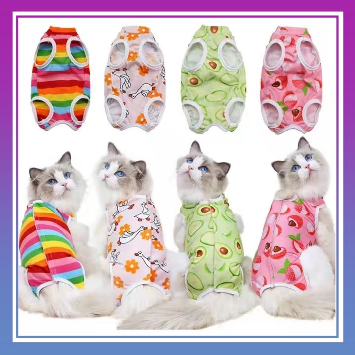 Happy Pet Cotton Cat Clothes Recovery Suit For Wounds Dog Shirt After ...