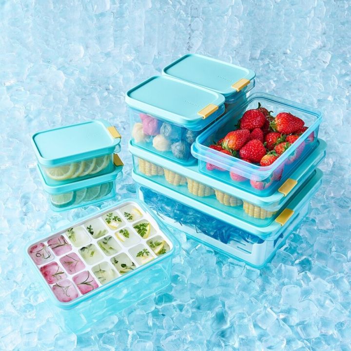 LocknLock Freezer Fit Containers Case for freezer Storage Stackable BPA ...