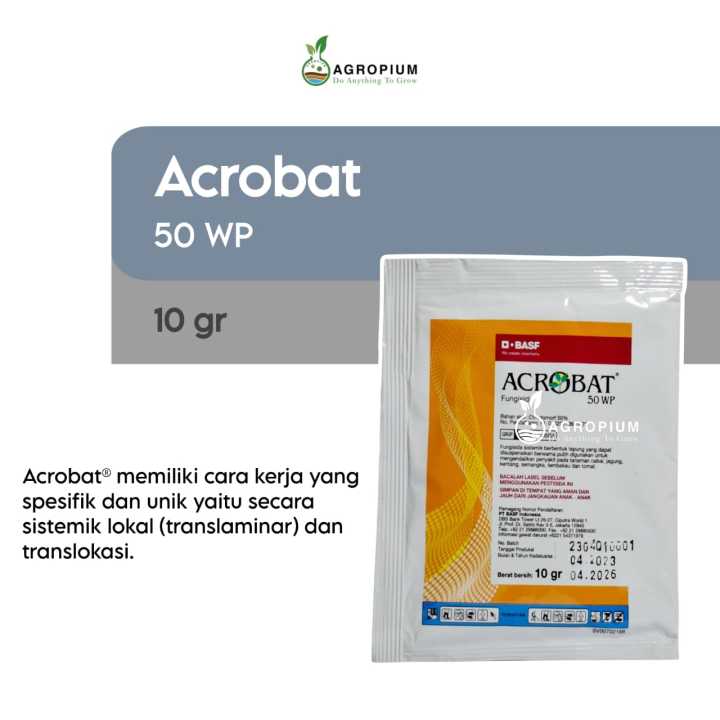 Fungisida ACROBAT 50 WP 10 gram Pengendali Penyakit Tanaman | Lazada Indonesia