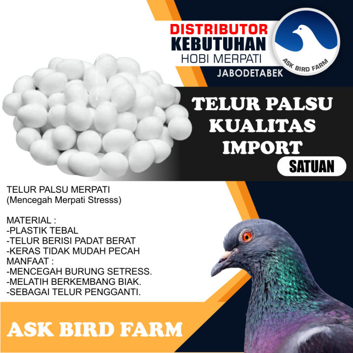 Telur Merpati Palsu Pancingan Merpati Bertelur | Lazada Indonesia