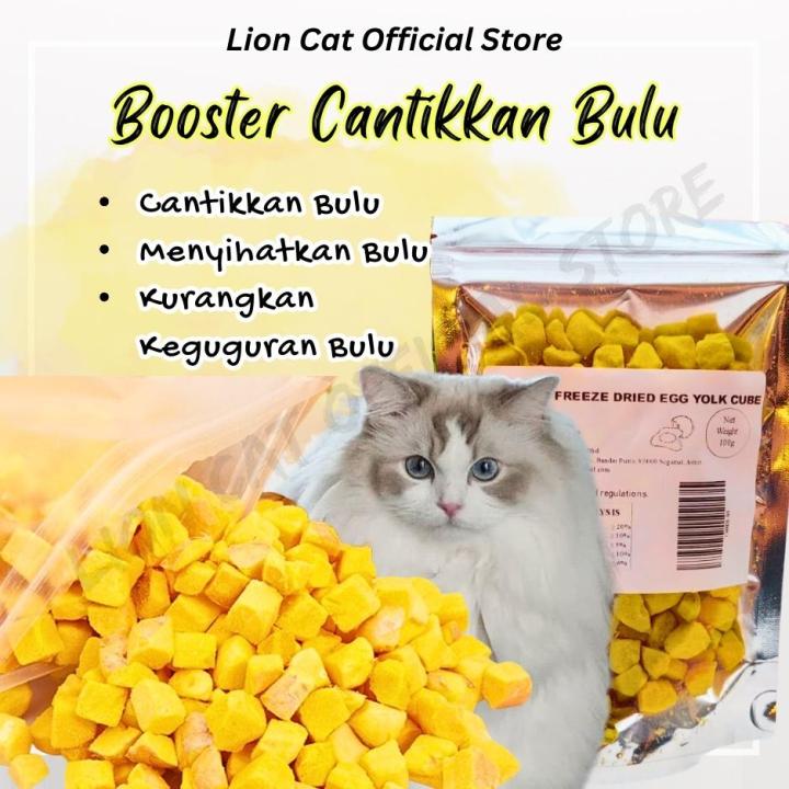 Booster Bulu Kucing Cat Kurang Gugur Bulu Cantik Beauty Hair Freeze ...