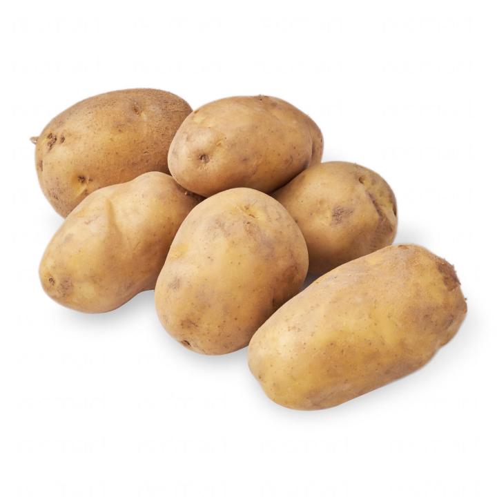 Holland Potato | Lazada Singapore