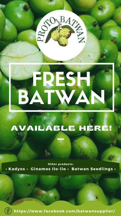 PROTO BATWAN SEEDLINGS | Lazada PH