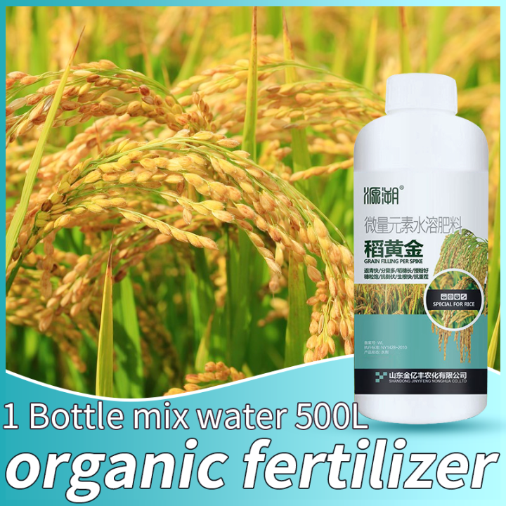 foliar fertilizer for rice 500ml | Lazada PH