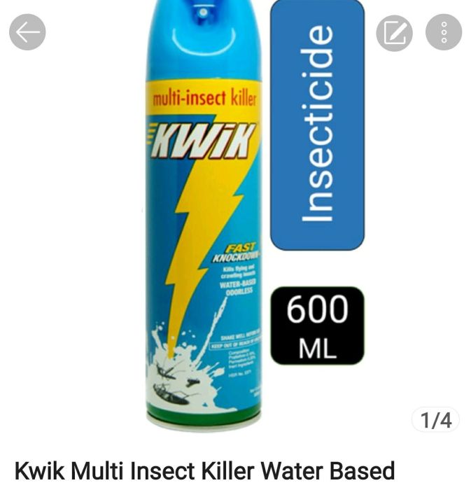 Kwik Multi Insect Killer Water Based 600ml | Lazada PH