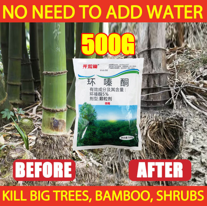 【TheCoachesJournal】herbicide to kill tree,hexazione which can ...