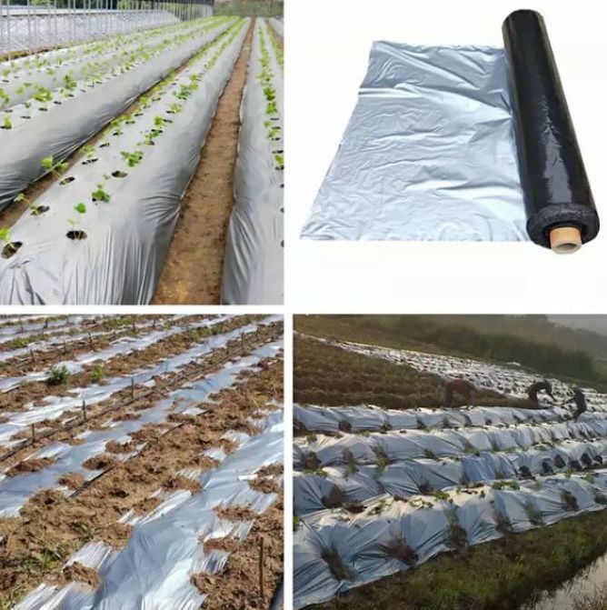 High Quality Plastic Mulch Film (2ft x 20m x .33microns)and from Taiwan ...