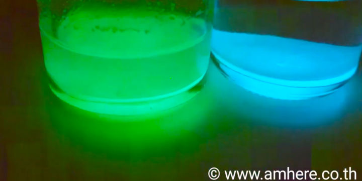 Premium Glow Powder GREEN (Glow in the Dark Powder) ผงเรืองแสงสีเขียว ...