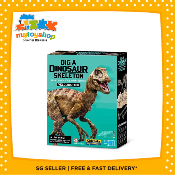 4M Dig a Dinosaur Skeleton Velociraptor | Lazada Singapore