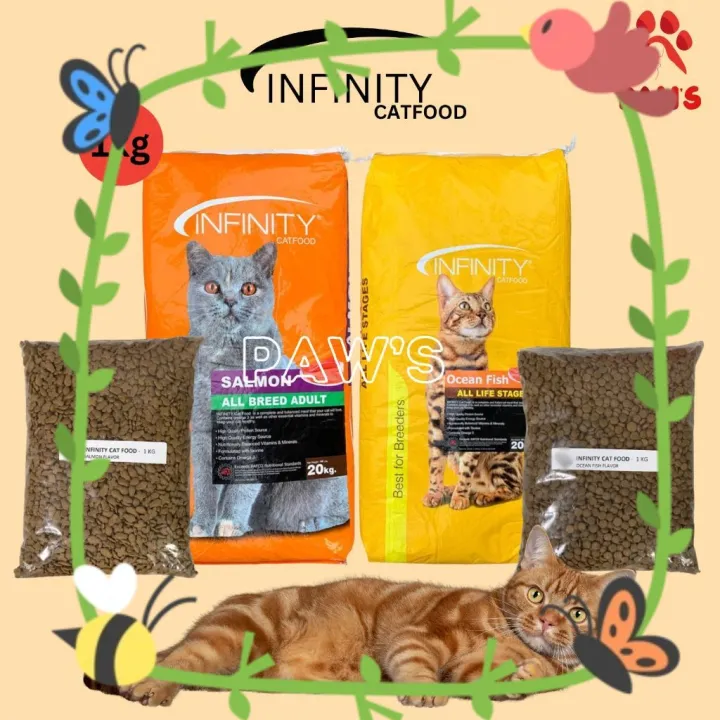 1kg Repacked Infinity Cat Dry Food for All Stages All Breed Adult PAW'S ...