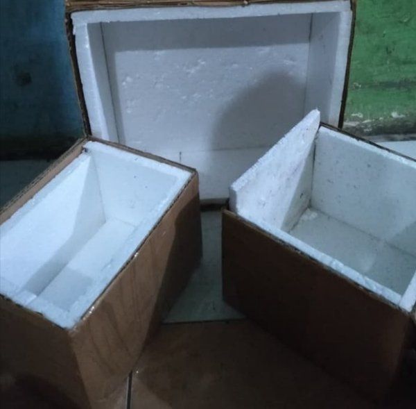 Packing tambahan styrofoam | Lazada Indonesia