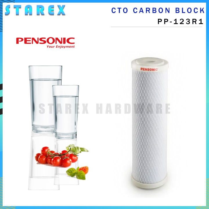 Pensonic Water Filter Cartridge Carbon Block for PP-123 PP-123R1 | Lazada