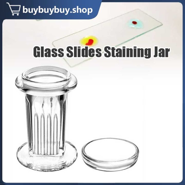Coplin Jar Glass Slides Staining Container Jar 5's | Lazada PH