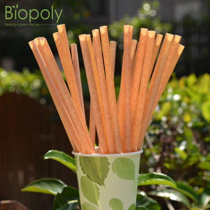 100pcs Biodegradable sugarcane bagasse straw | Lazada PH