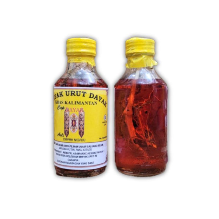 Minyak Dayak Perisai Borneo Obat Urut Struk Ringan Asli Kalimantan ...