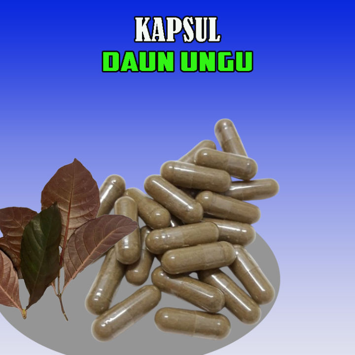 DAUN UNGU Kapsul Herbal Kemasan Hemat - isi 50 pcs | Lazada Indonesia