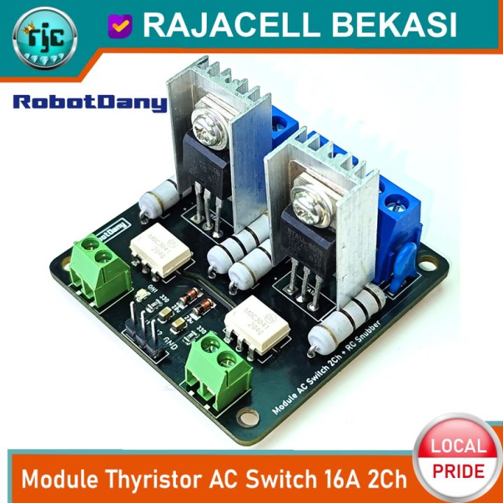 Thyristor AC Switch 2 Channel Relay 220V AC 16A Max 3.3V 5V Arduinoo | Lazada Indonesia
