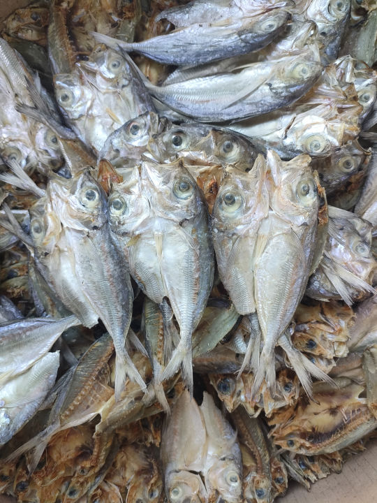 DRIED MATAMBAKA | DRIED FISH | 250 TO 1KG | Lazada PH