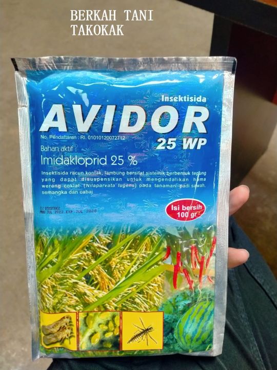 INSEKTISIDA AVIDOR 25 WP UKURAN 100 GRAM | Lazada Indonesia