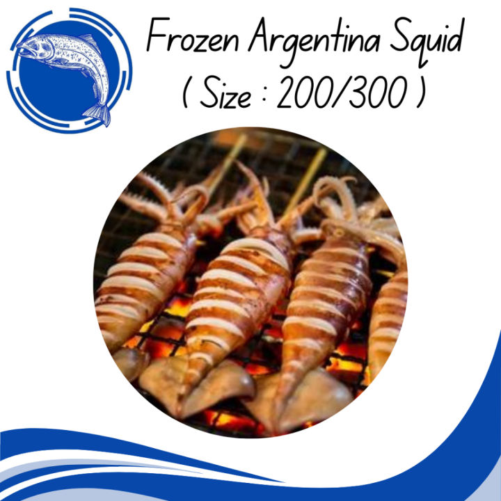 Frozen Iqf Argentina Squid 200/300 300g+/- | Lazada