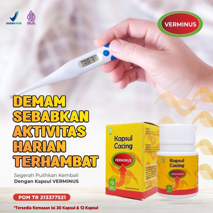 Verminus 30 kapsul cacing herbal untuk demam dan tipes | Lazada Indonesia