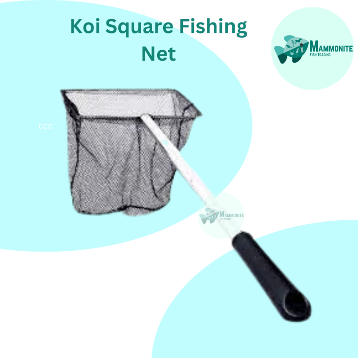 KOI SQUARE FISHING LANDING NET - ADJUSTABLE HANDLE (Available in ...