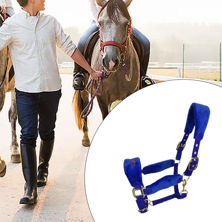 acituna Horse Halter Lightweight Chin and Throat Snap Halter for ...