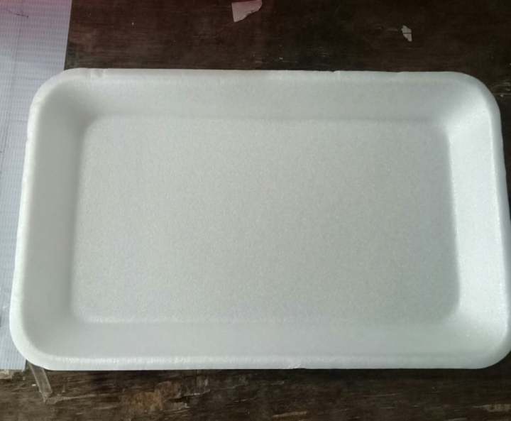 Styro Fruit Tray Medium (100pcs) | Lazada PH