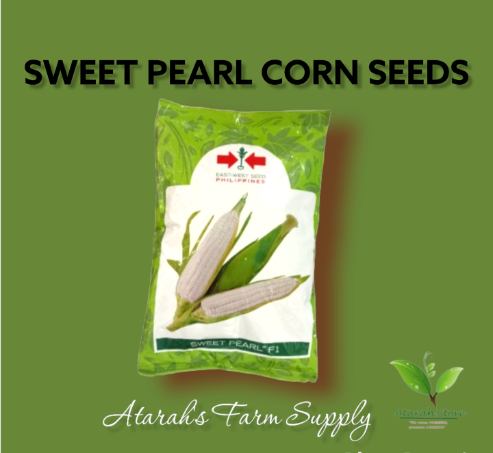HYBRID CORN SWEET PEARL F1 (1KILO) EAST WEST SEEDS | Lazada PH