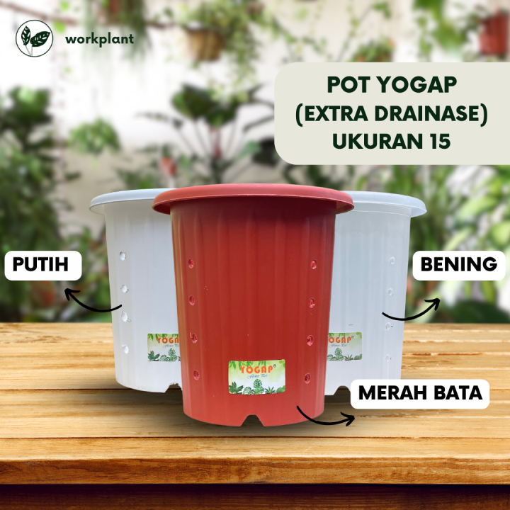 Pot Yogap (Extra Drainase) - Ukuran 15 Pot Bunga Tanaman Hias Kualitas ...
